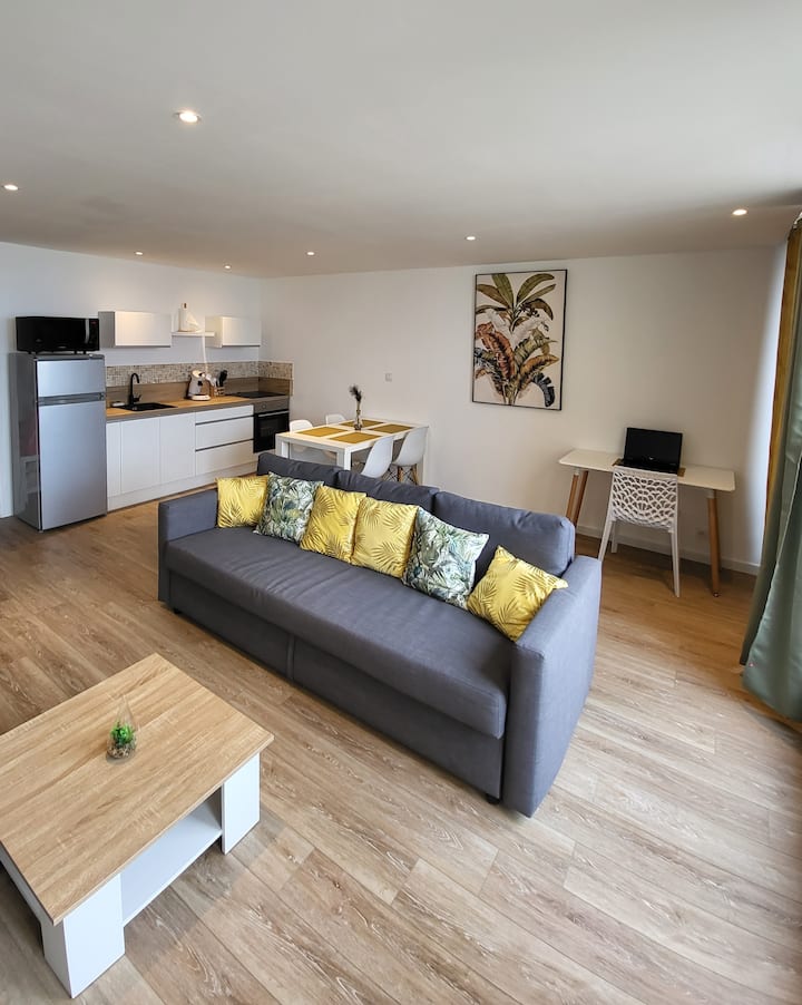 Appartement Rénové Avec Balcon Vue Direct Sur Mer - Le Barcarès