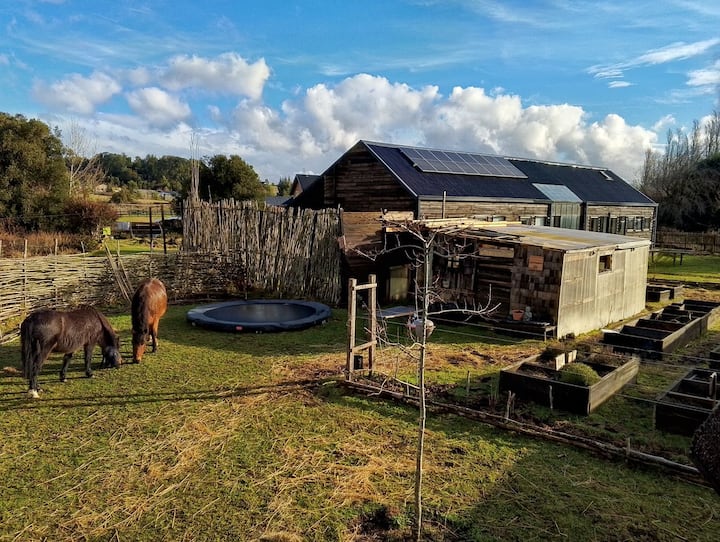 Diversión Rural Para Niños Y Familias - Puerto Varas