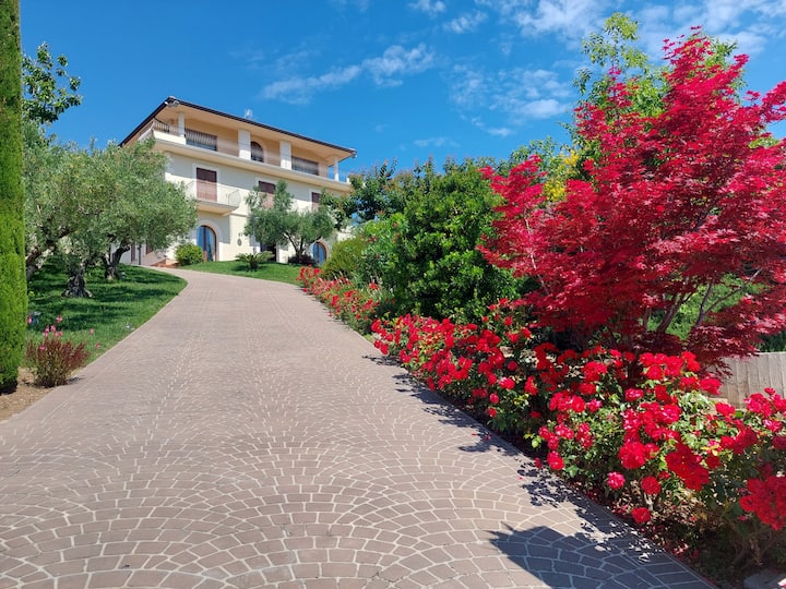 Seaside Villa On The Costa Trabocchi - Abruzzo