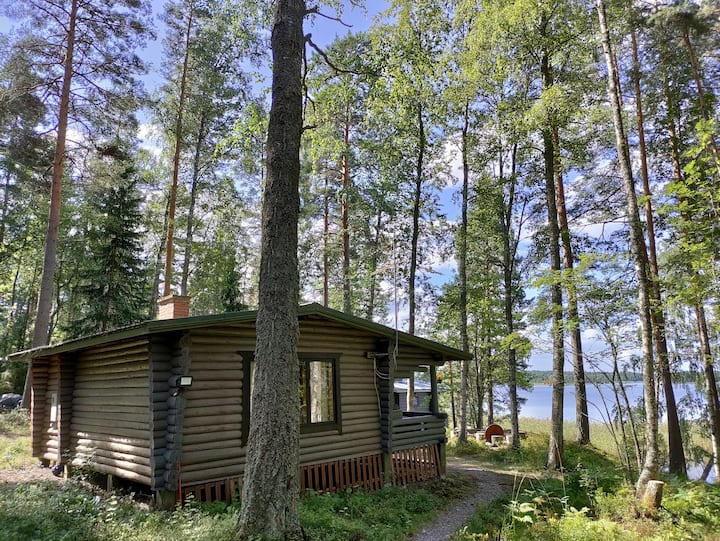 Viihtyisä Mökki Järven Rannalla - Hartola
