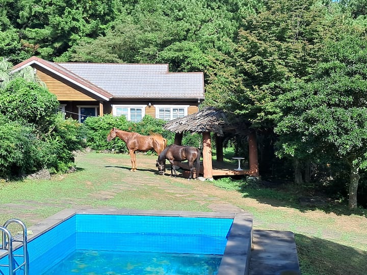 /52평 펜션/애월의 정원/푸른잔디 /별과 바람/말 - Jeju