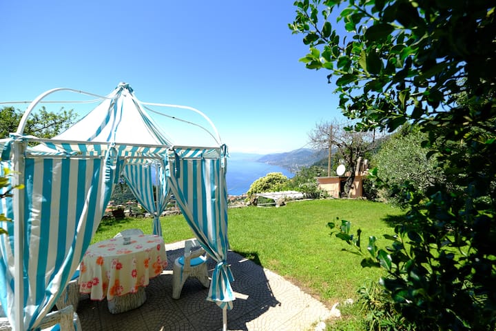 La Casa Di Sotto By Portofinovacanze - Camogli