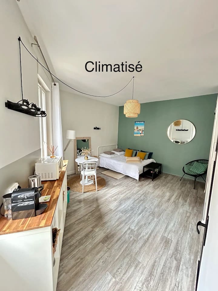 Le 25 / Hypercentre Climatisé - Toulouse