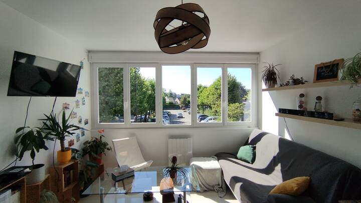 Appartement Lumineux Au Calme, Proche Du Zénith. - Orvault