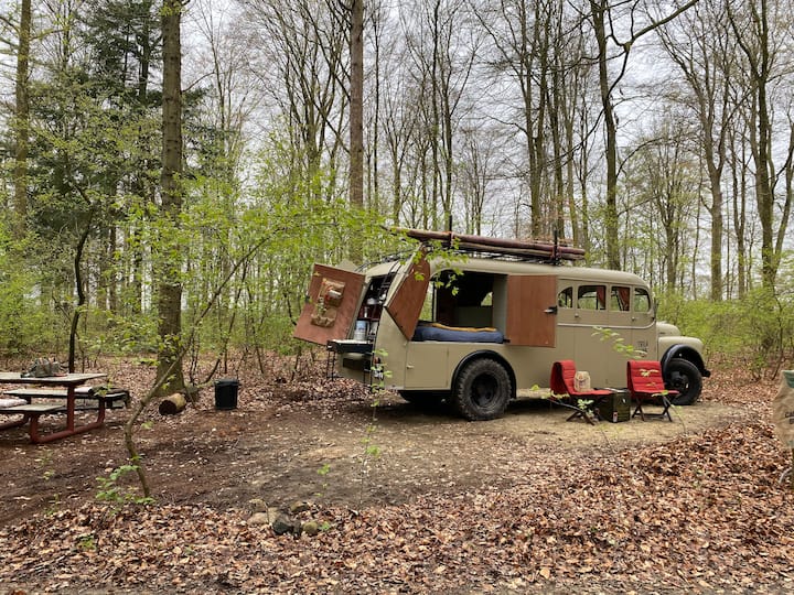 Wodan Dodge 1952 - Assen