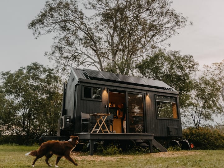 Secluded & Pet Friendly Cabin Deep In Nature - Gleneagle