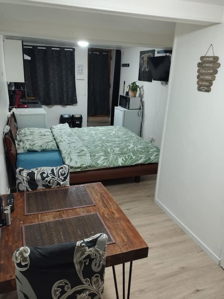 Studio Centre Ville Foix - Foix