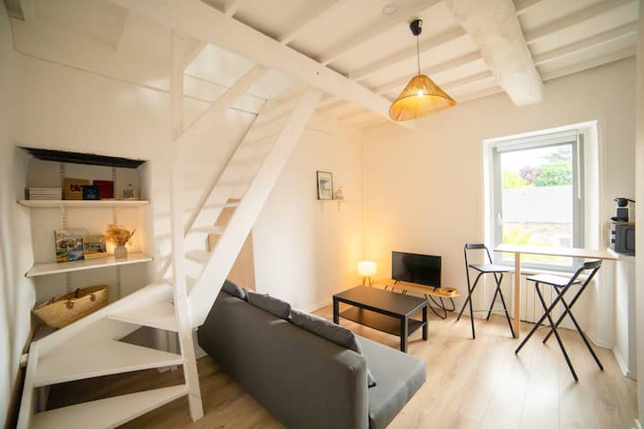 Joli Duplex Lumineux En Centre-ville - Lannion