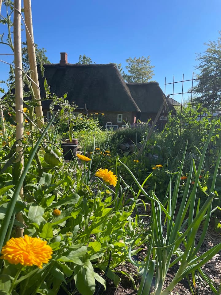 „Hyggelig“ Thatched Hobbit House With Garden - Dinamarca