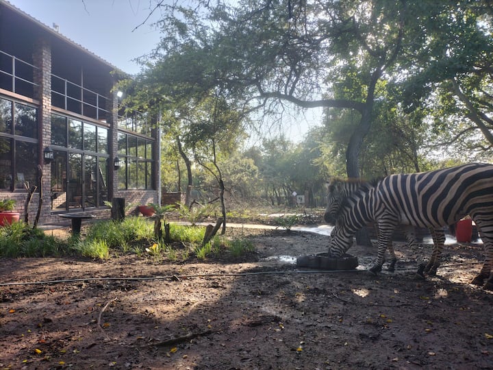 Marleô Marloth Park - Marloth Park
