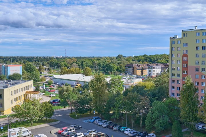 Zielone Mieszkanie W Centrum. - Wrocław