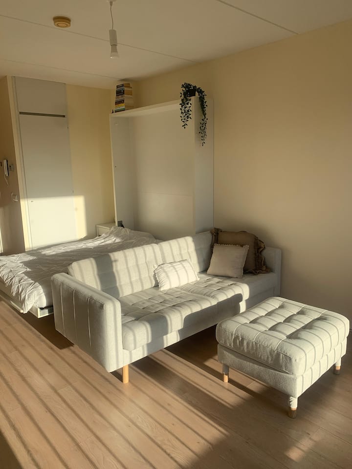 Bright And Sunny Studio Apartment In Amsterdam - Amsterdam