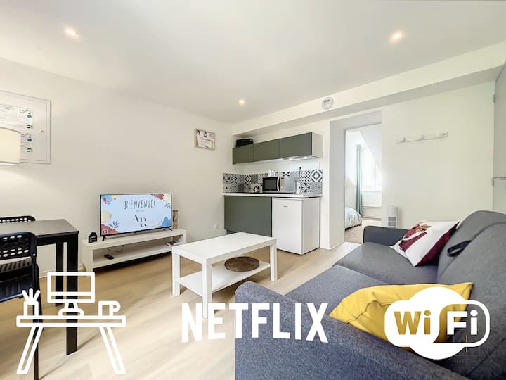 Rodez Rdc Neuf : Netflix, Musée & Confort - Rodez