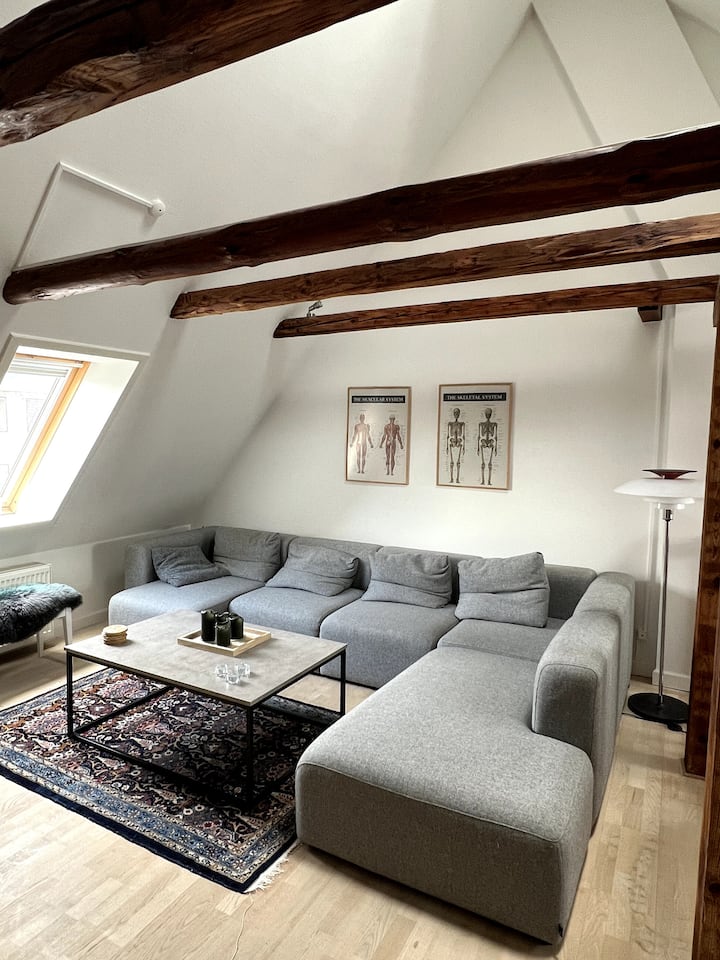 Great 2 Floor Apartment - Copenhague