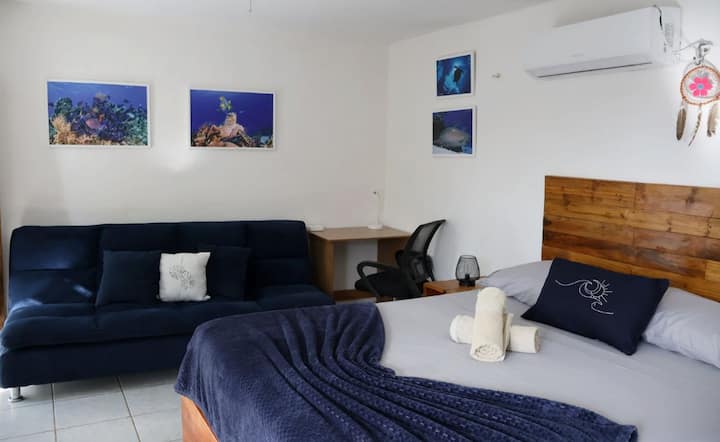 Comfy Studio Downtown Close Ferry, Market & Shops - Cozumel