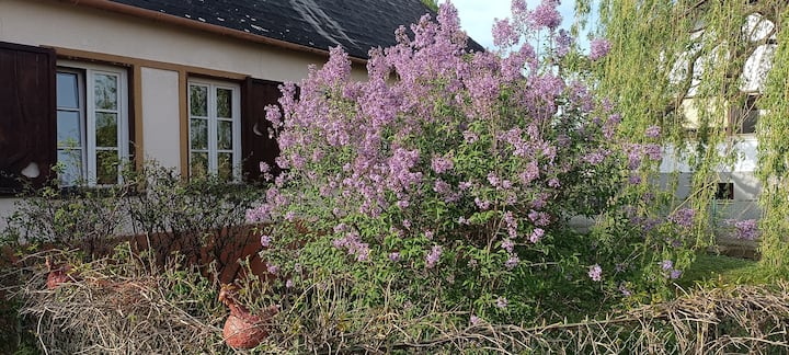 Landhaus Mit Großem Naturgarten - Lutzmannsburg