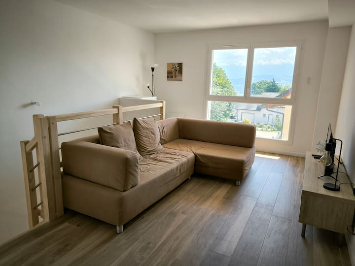 Appartement 2 Chambres - Rumilly