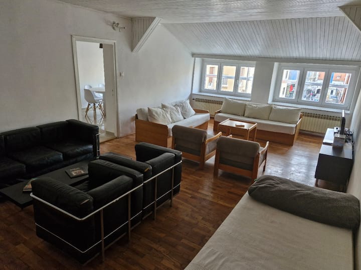 2br Condo In The Heart Of Zagreb - Zagreb