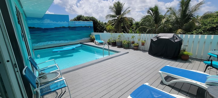 Romantic Villa With Private Pool - Rave Reviews! - Saint Thomas