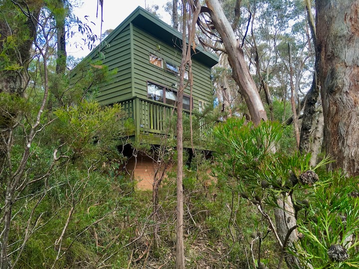 Bush Cabin Bliss! - Katoomba