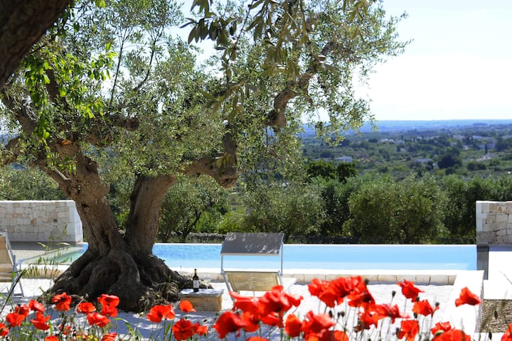 Trulli Loco - Il Trulletto - Locorotondo