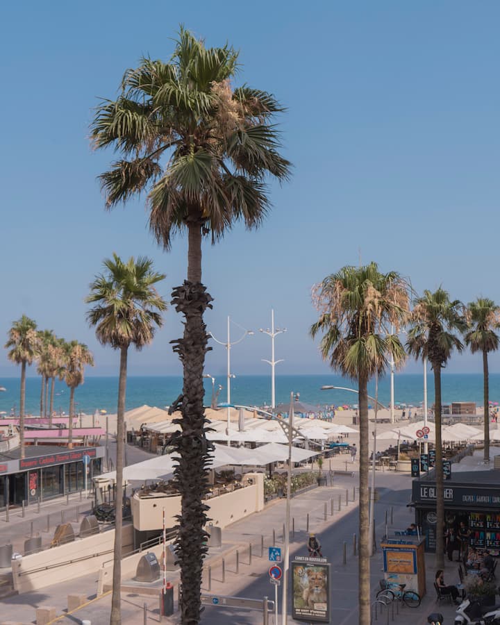 Magnifique Appartement Vue Mer -Place Méditerranée - Canet-en-Roussillon
