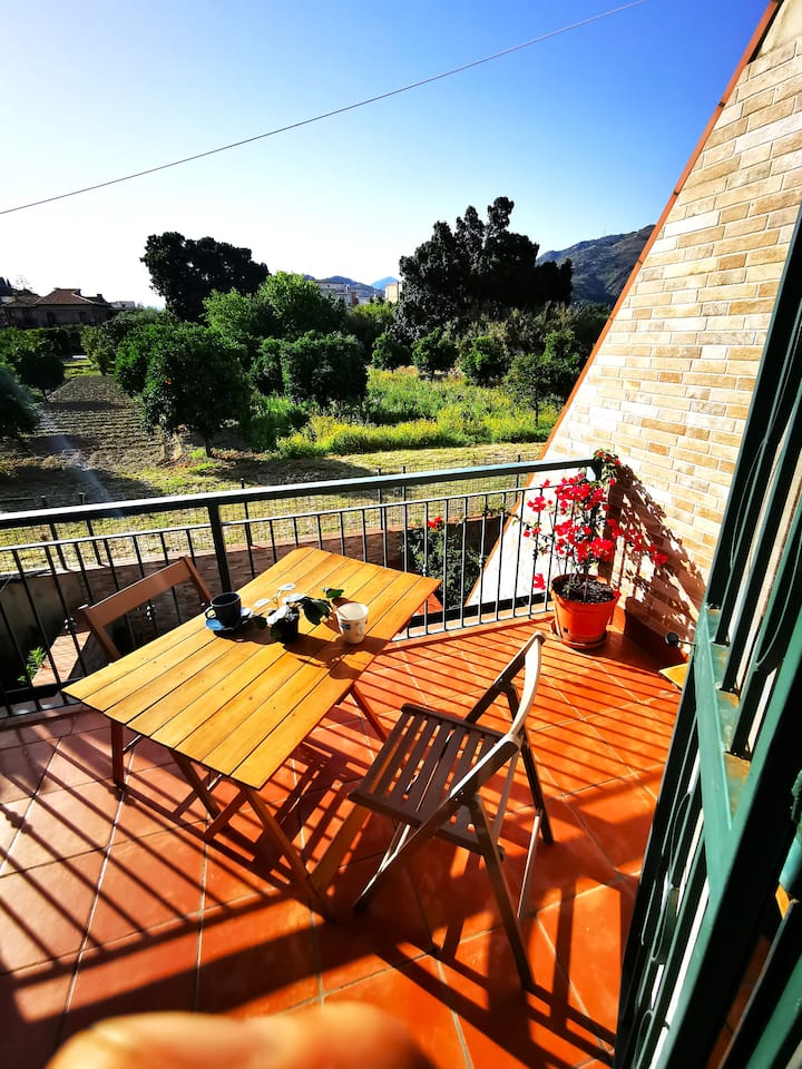 Naxos Holiday Apartments and Self Catering | cozycozy