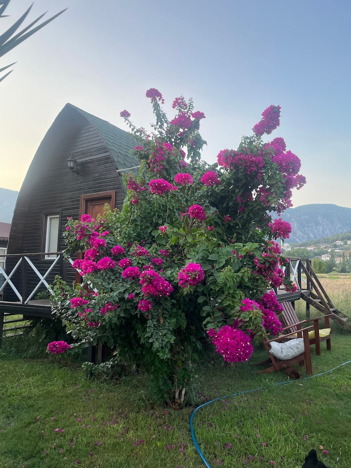 Gökova’da Ağaç Ev - Akyaka