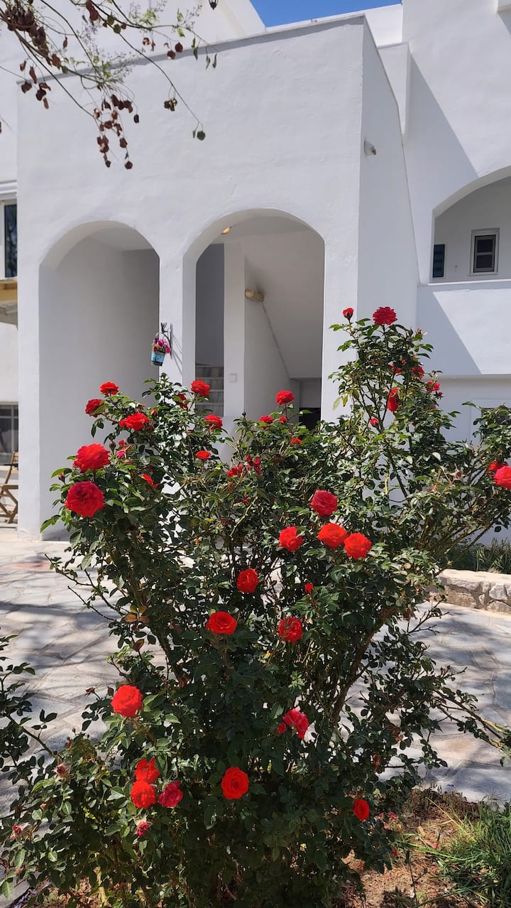 Family Apartment - Kos