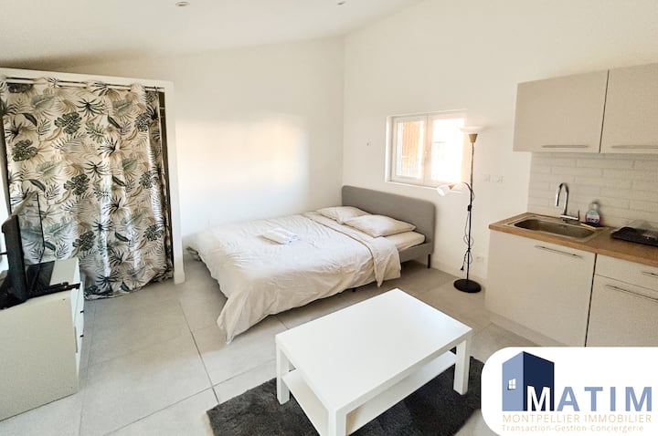 Bazille - Gare Saint Roch - Montpellier