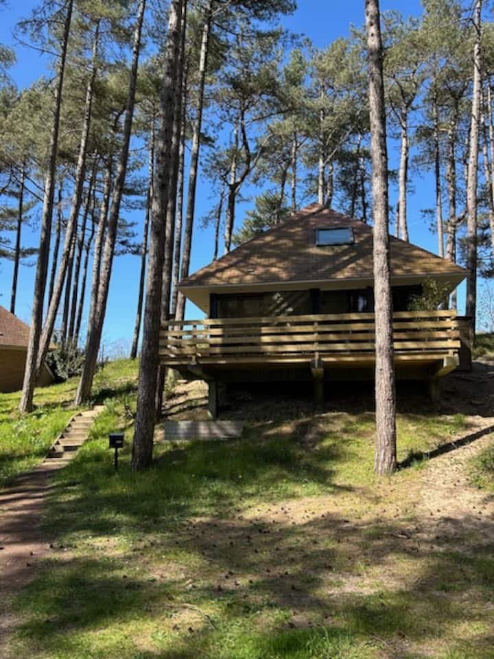 Jolie Forestière Dans La Pinède. - Hardelot-Plage
