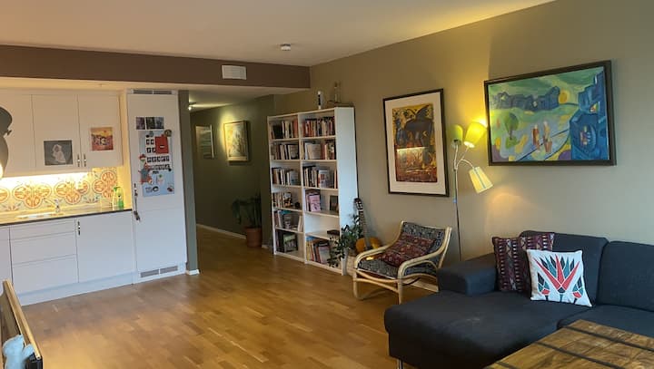 Romslig Leilighet På Grünnerløkka - Oslo