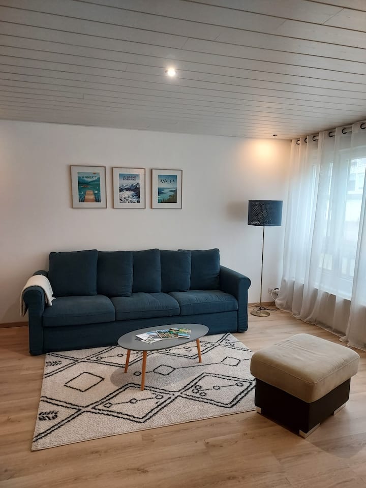 Grand Appartement · 2 Chambres · Calme · Parking - アヌシー