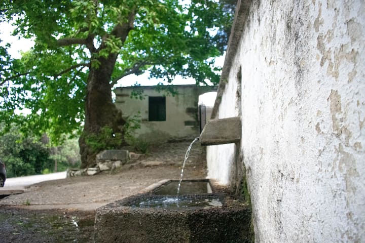 Ria's Place - Paleochora