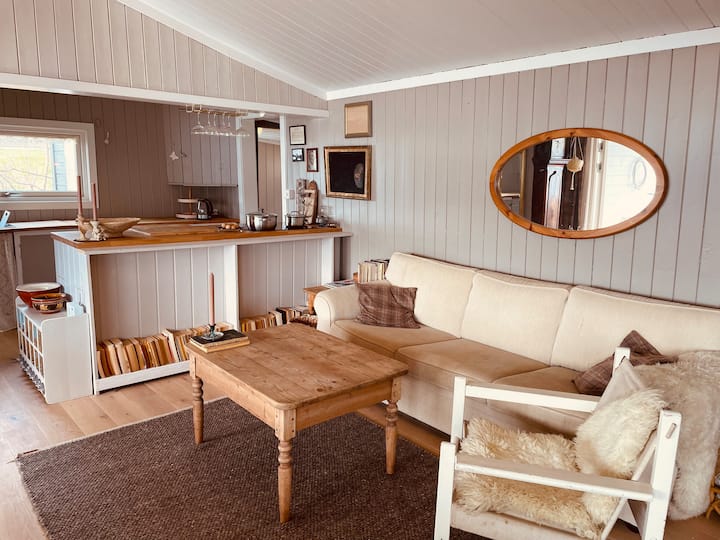 Nydelig Hytte - Modum