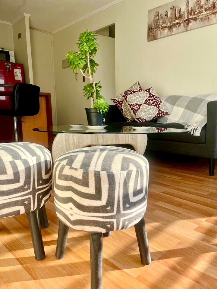 Lindo Departamento En Santiago Centro - Santiago