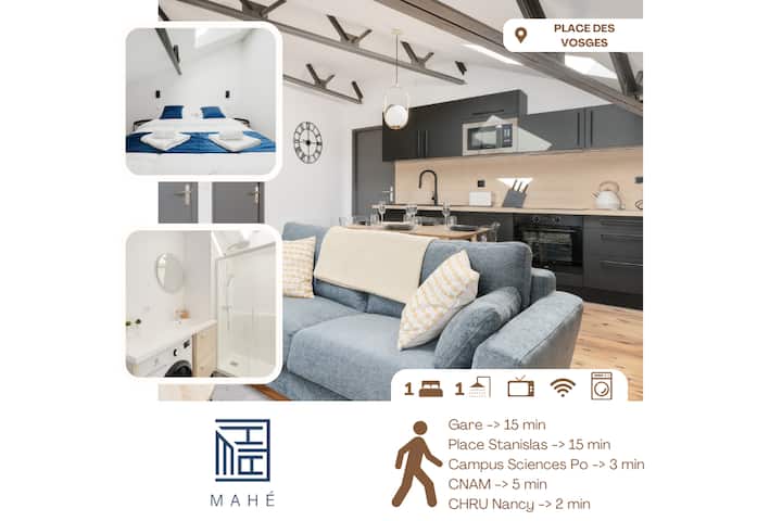 Nancy Bnb Centre-ville 1 - Meurthe-et-Moselle