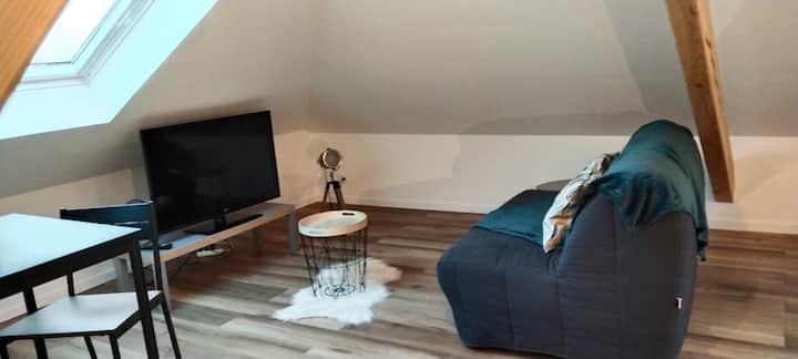 Loft Cosy Avec Vue Sur Les Montagnes - Saint-Martin-d'Hères