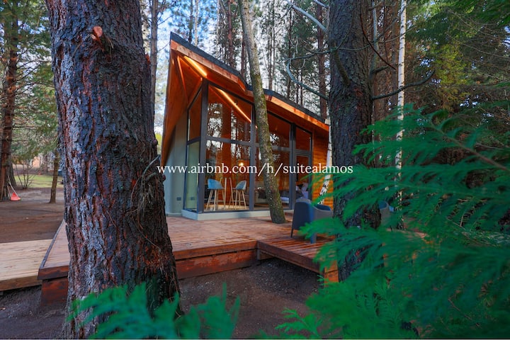 Moderna Cabaña Con Acceso Al Lago - San Carlos de Bariloche