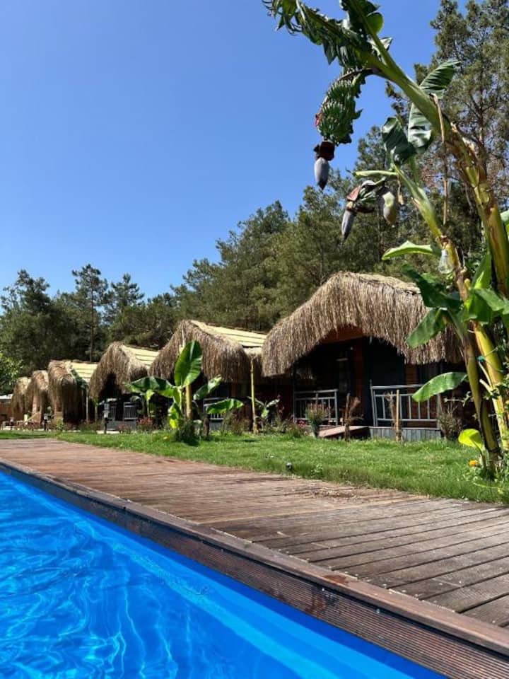 Pine Village (Glamping) - Ölüdeniz