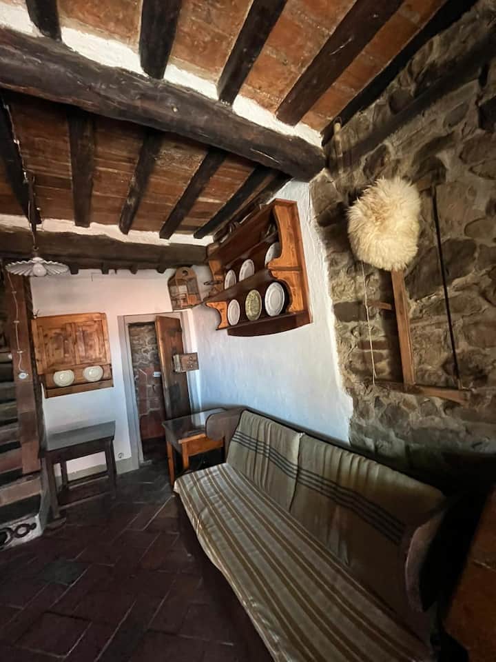 La Cannicciaia - Pistoia