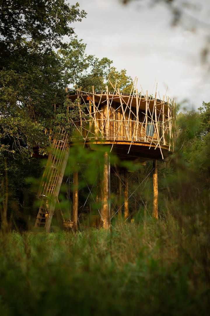 Cabane Perchée Spa Havre De Paix - Oise