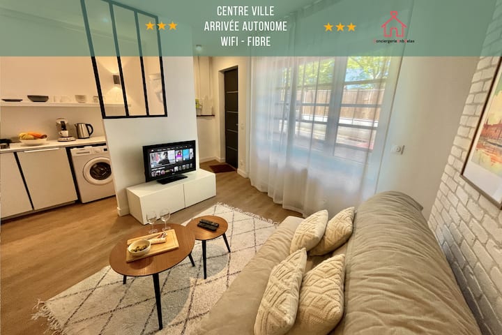 * Le Passage De La Gloire * Centre Ville - Wifi - ibis Styles Toulouse Nord Sesquieres