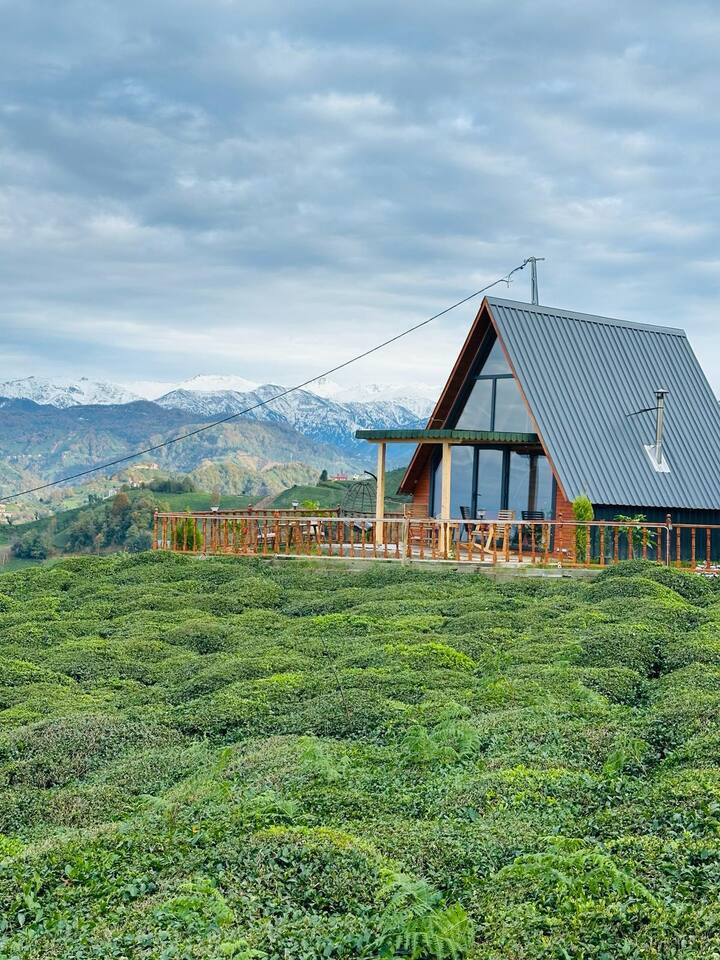 Rize Vacation Rentals & Homes - Rize, Türkiye | Airbnb