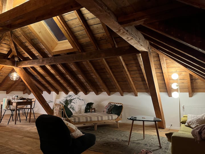 Magnifique Loft Au Pied De La Forêt - Martigny