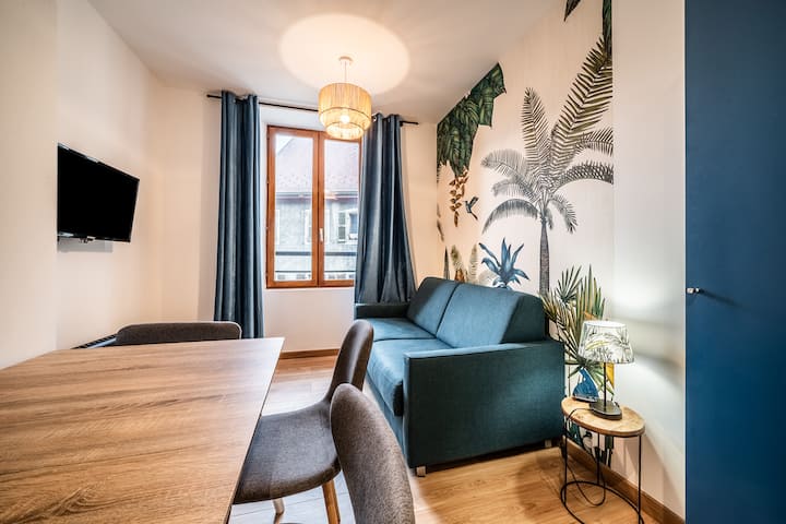 Coeur Vieille Ville - Annecy