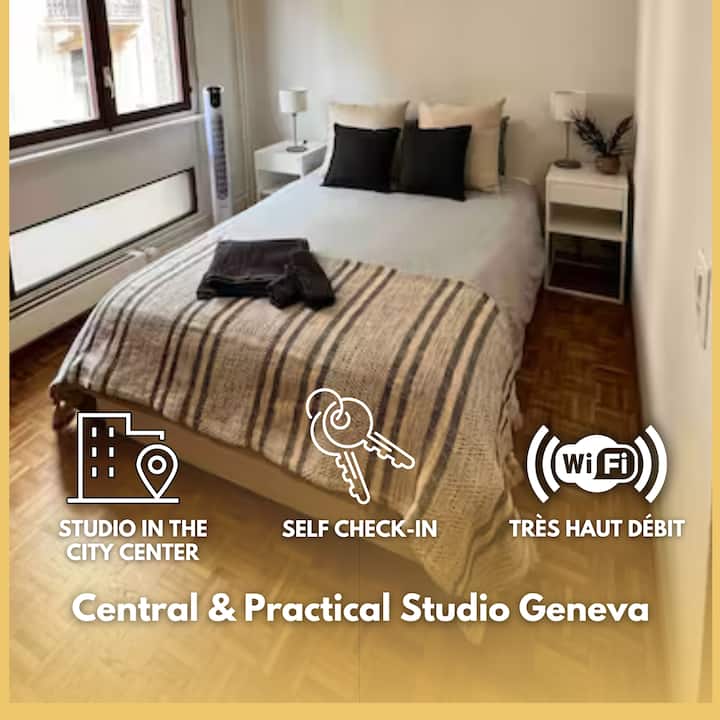 Fully Renovated And Equipped Studio Apartment! - Geneva