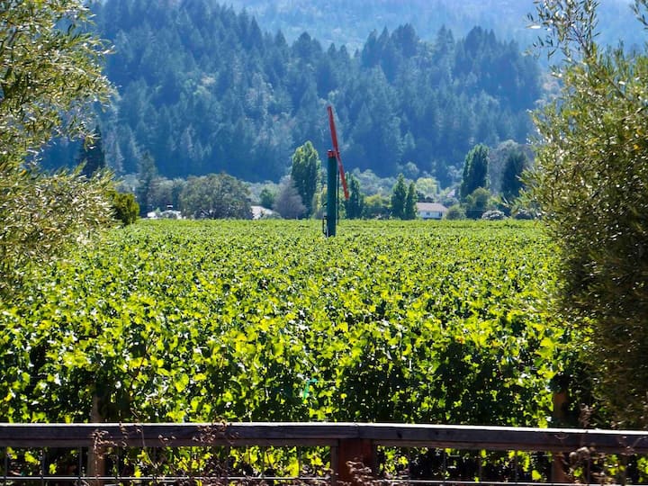 Saint Helena Country Home, Walk To Downtown - St. Helena, CA