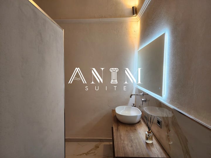 Anim Suite Nel Cuore Di Ercolano - Ercolano