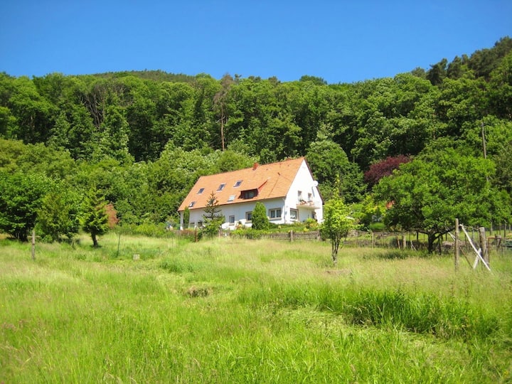 Ferienwohnung Naturoase Quasthoff - Edesheim